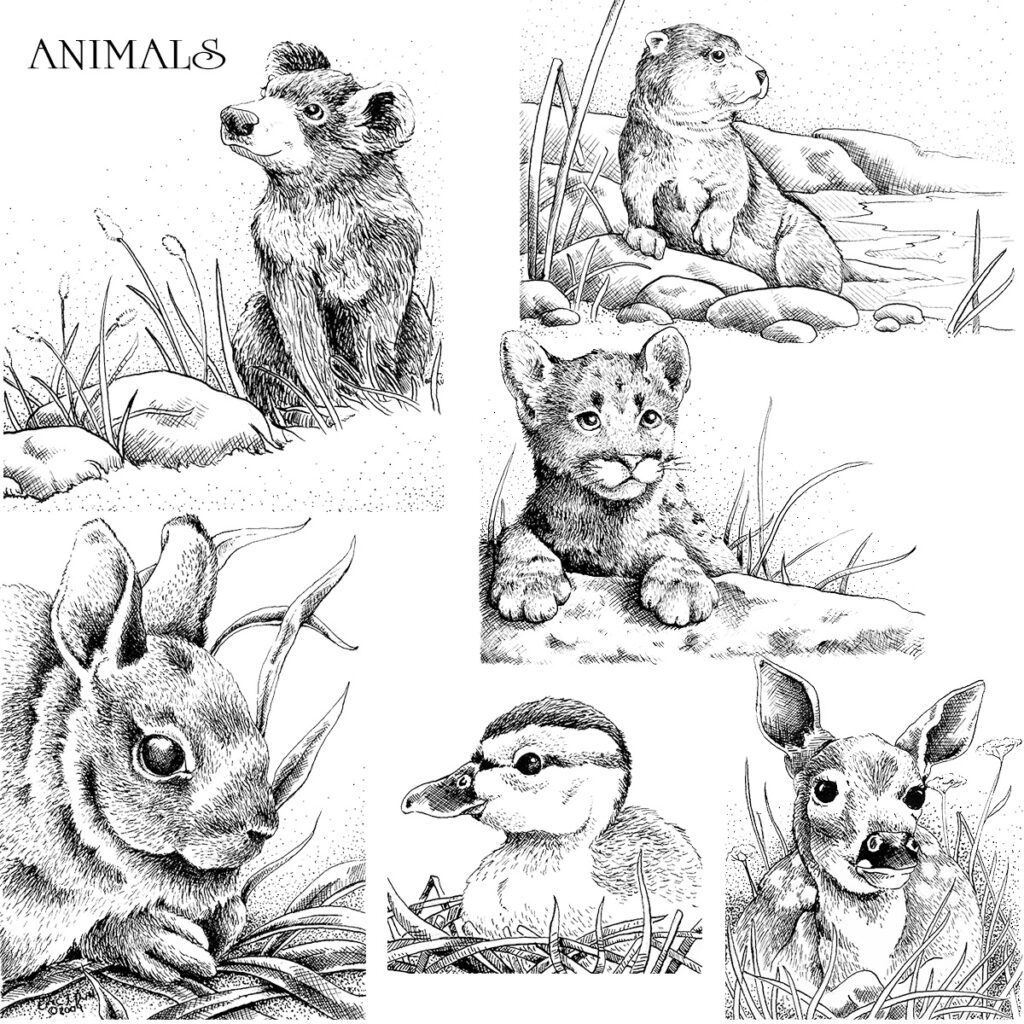 Stamps – Anthony’s Paper Craft