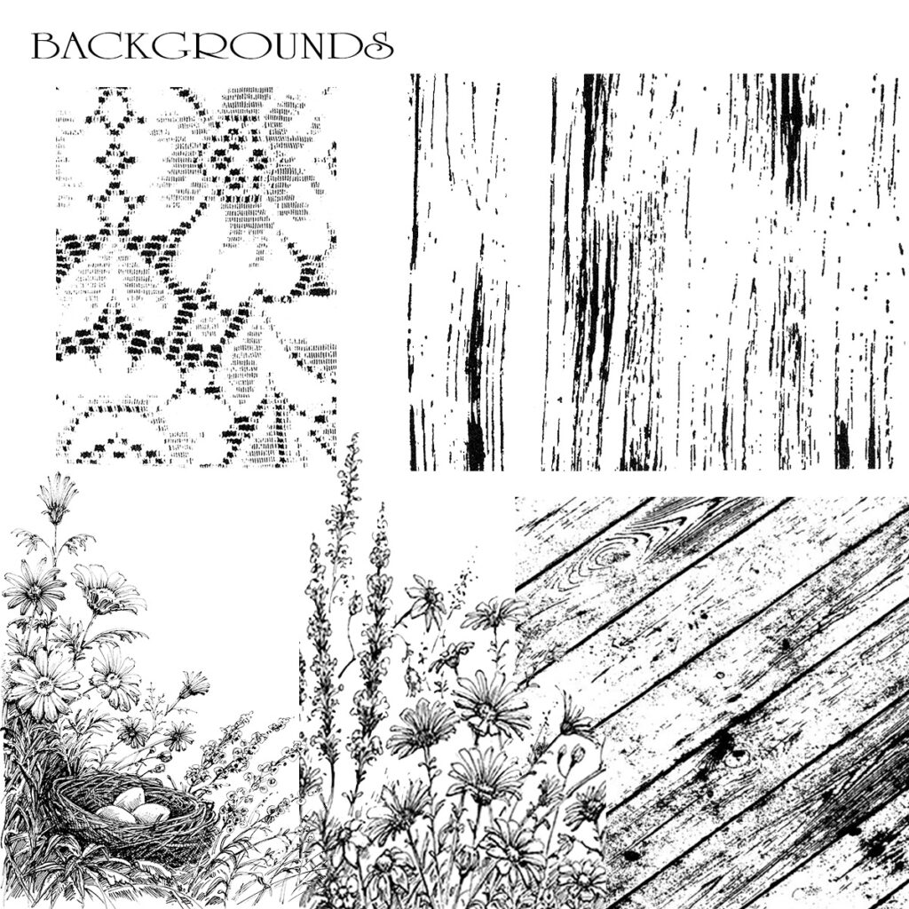 Stamps – Anthony’s Paper Craft